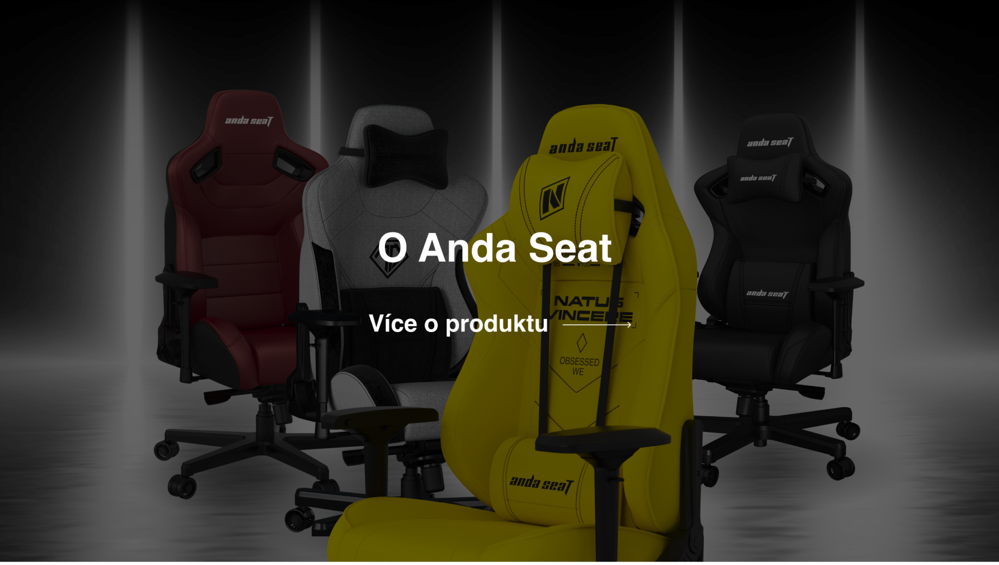Uvodni - Anda Seat